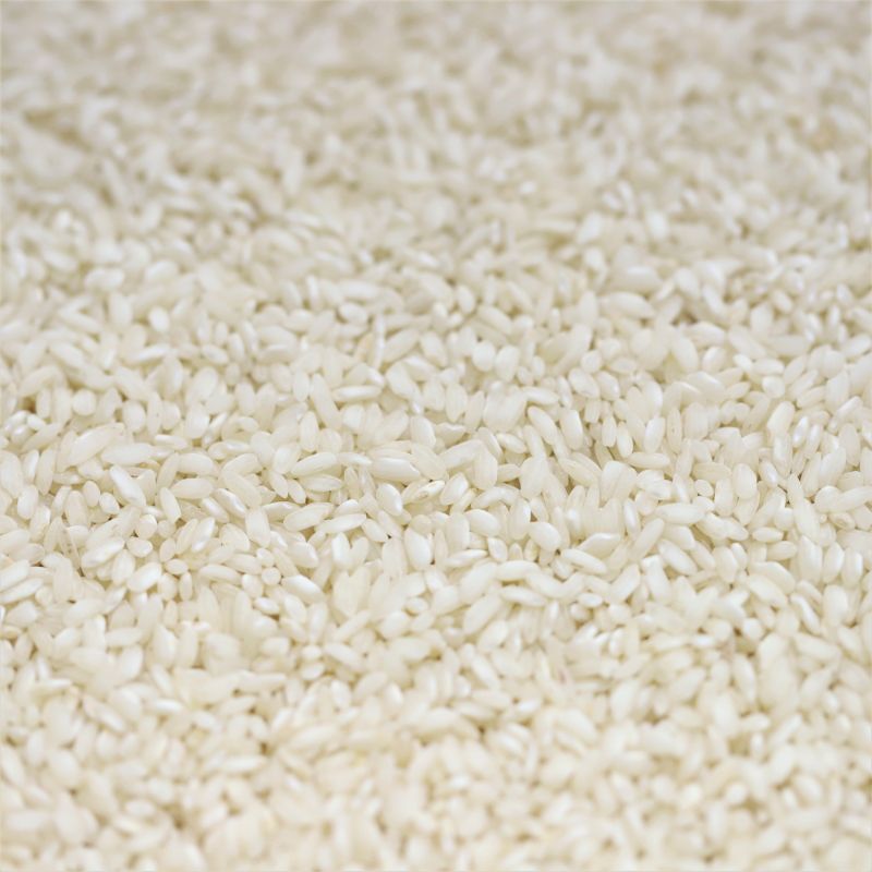 BULK FOODS - Scoop Wholefoods Bath