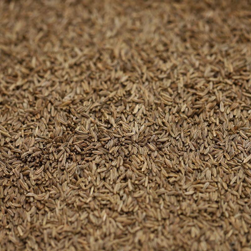 Caraway Seeds - Scoop Wholefoods Bath